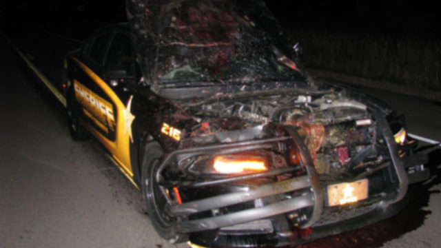 Dashcam footage shows Minnesota deputy hitting deer at 114 mph | WPXI