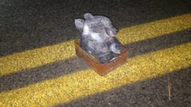 FBI releases photo of teddy bear bomb placed in road by South Carolina ...
